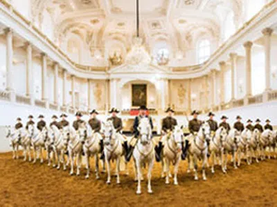 Biljetter till Spanska Ridskolan från Wien | BiljettShop.se